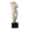 Goddess Venus Marble Sculpture Decor